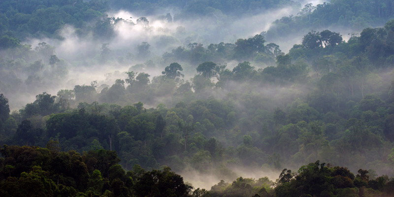 Paket wisata minat khusus "Halimun lembur experience"